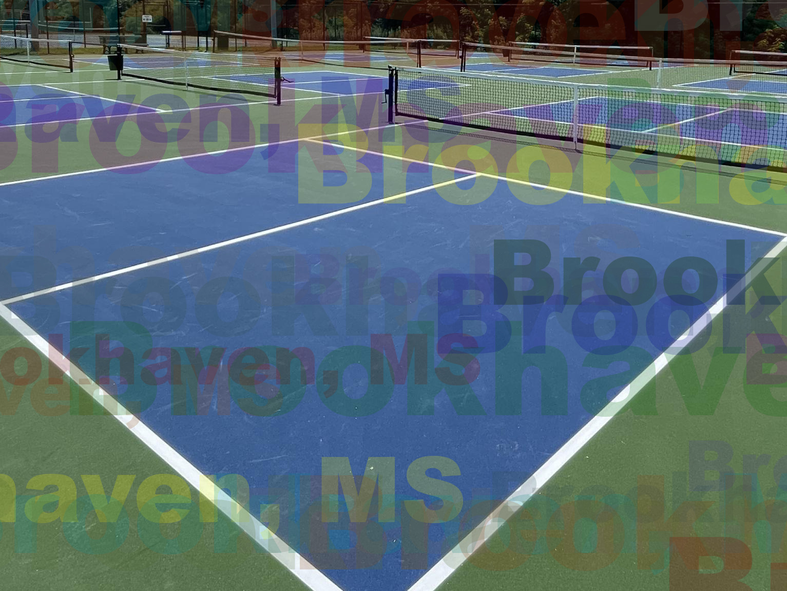 Brookhaven Businesses & Sponsors - Thank You for Your Support!